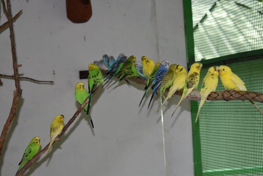 Attractions – Shilparamam